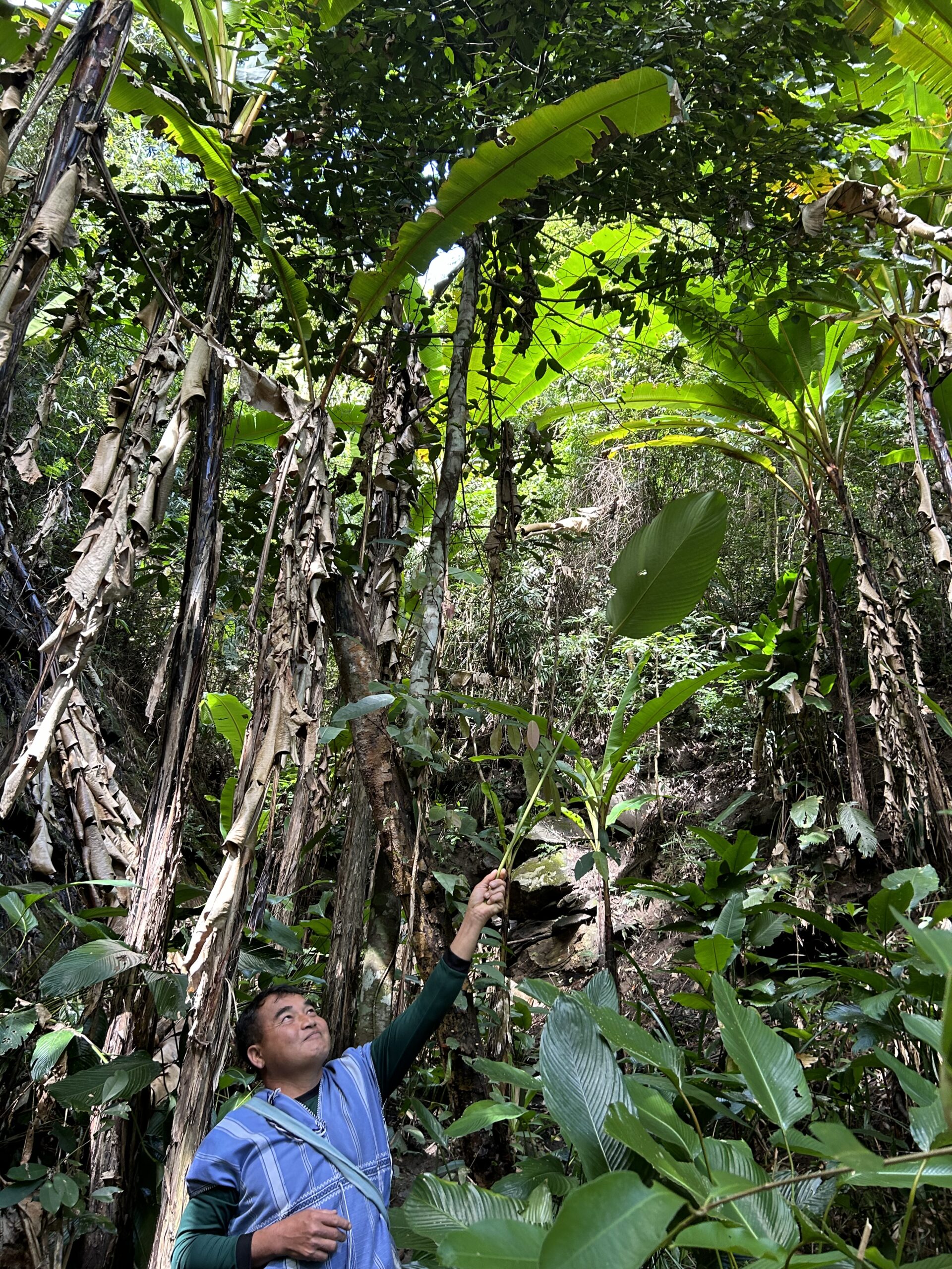 Beautiful Weekend Guide to Doi Inthanon National Park (2025) | Gracies ...
