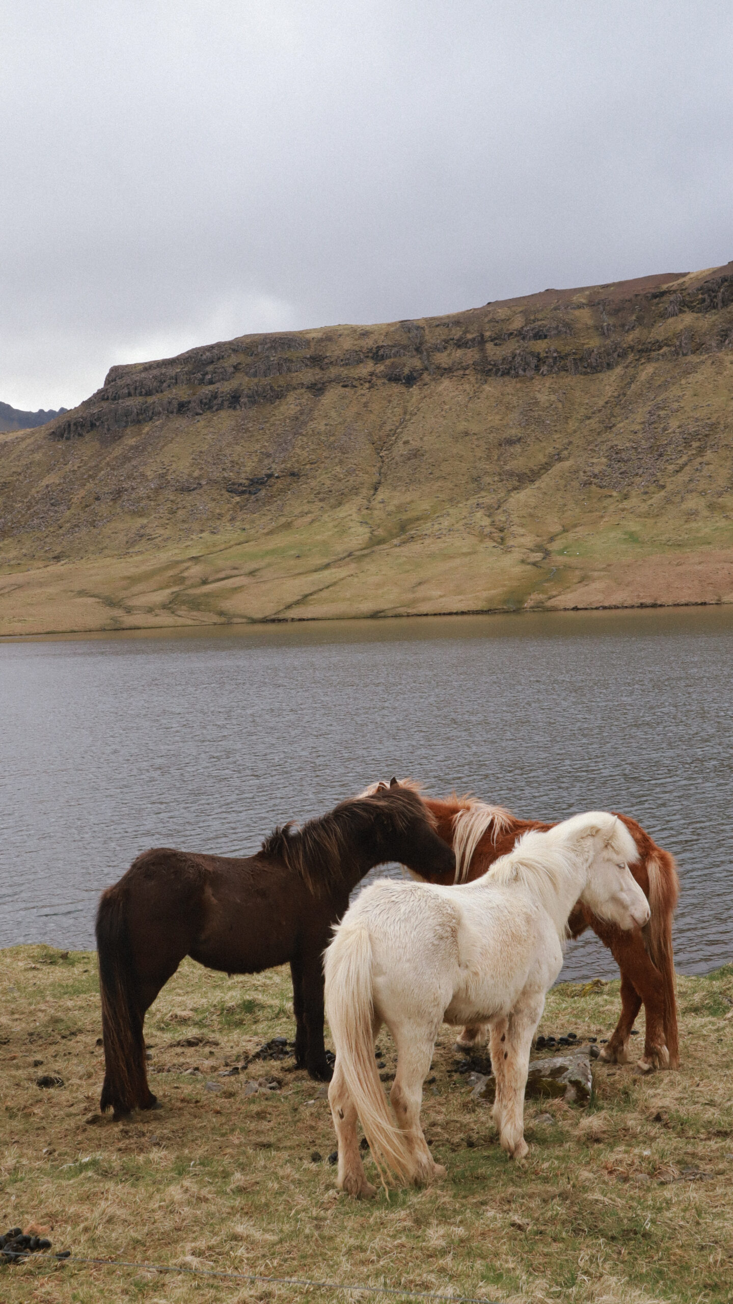 10 things I wish I knew before traveling to Iceland